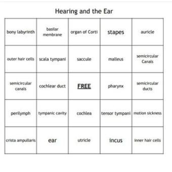 "Hearing and the Ear" Bingo set for an Anatomy Course - Amped Up Learning