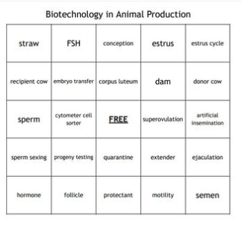 "Biotechnology in Animal Production" Bingo set for a Biotechnology ...