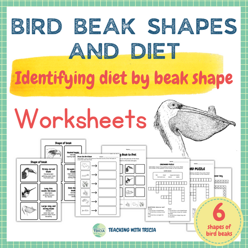 Bird Beak Shapes and Diet: Worksheets and Beak Shape Definition Cards ...