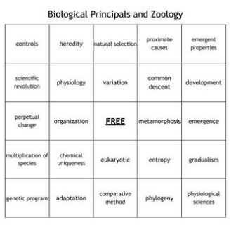 "Biological Principals and Zoology" Bingo set for a Zoology Course ...