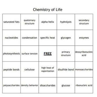 "Chemistry of Life" Bingo set for a Zoology Course - Amped Up Learning