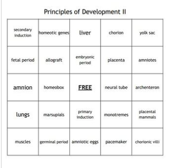 "Principles of Development" Bingo set for a Zoology Course - Amped Up ...