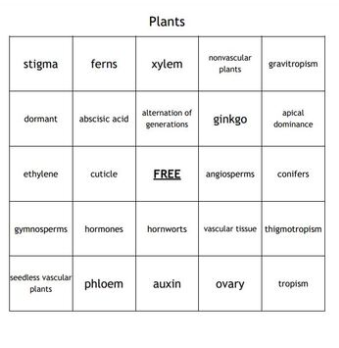 "Plants" Bingo for a Middle School Science Course - Amped Up Learning