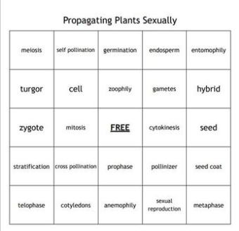 Propagating Plants Sexually Bingo for an Agriculture II Plant Science ...