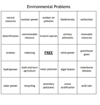 "Environmental Problems" Bingo Set for a Middle School Science Course ...