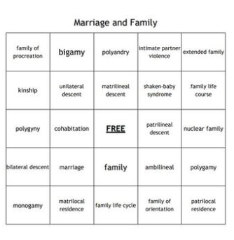 "Marriage and Family" Bingo Set for a Sociology Course - Amped Up Learning