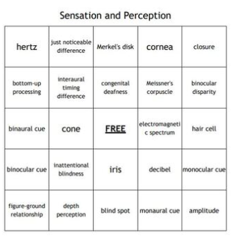"Sensation and Perception" Bingo Set for a Psychology Course - Amped Up ...