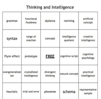 Thinking and Intelligence Bingo Set for a Psychology Course - Amped Up ...