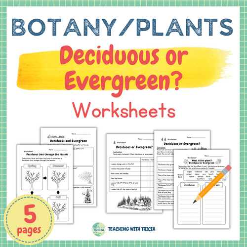Forest Biome - Deciduous or Evergreen?: Worksheets - Amped Up Learning