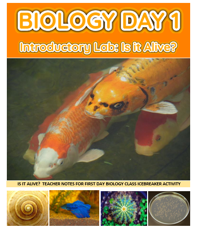 BIOLOGY DAY ONE ICEBREAKER LAB: Is It Alive? - Amped Up Learning