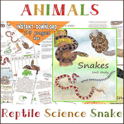 SNAKE Unit Study, Printable bundle with Anatomy, Diagram, Life cycle