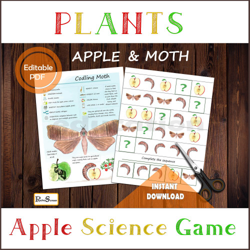 APPLE unit study, anatomy, life cycle and MOTH poster