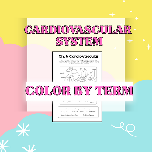 Color by Terms - Cardiovascular System