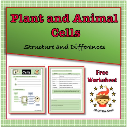 Plant and Animal Cells - Structure and Differences - Free Worksheet ...