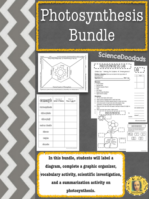 Photosynthesis - Bundle - Amped Up Learning