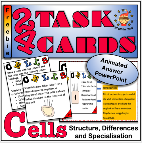 Plant and Animal Cells - Structure, Differences and Specialisation 24 ...