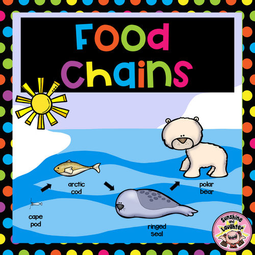 Food Chains