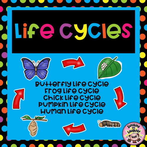 Life Cycles - Amped Up Learning