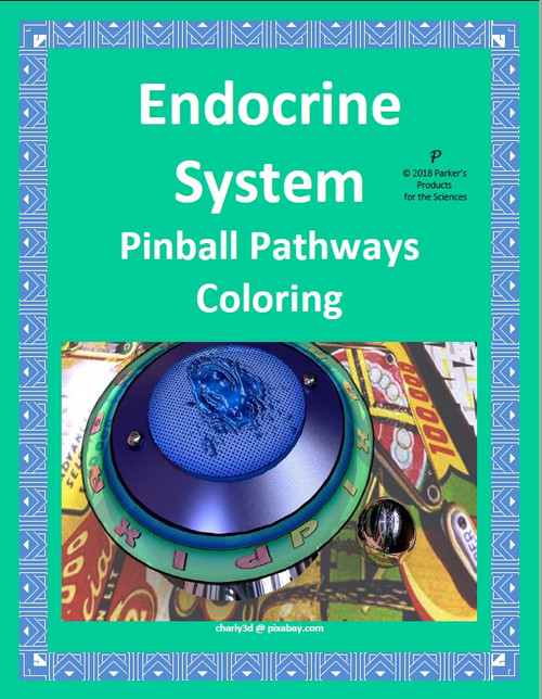 endocrine system coloring sheet