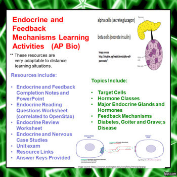 Endocrine and Feedback Mechanisms Learning Activities for AP Biology ...