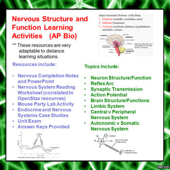 Nervous System Learning Activities for AP Biology (Distance Learning ...
