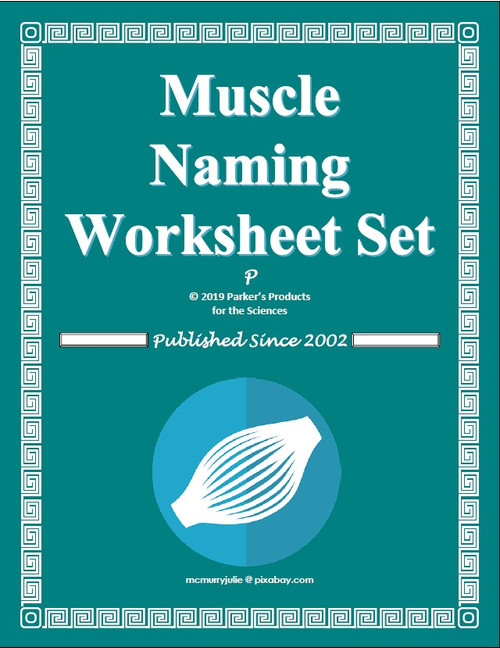 Muscle Naming Worksheet and Table Set - Amped Up Learning