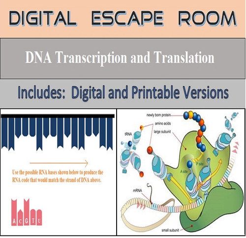 Digital Escape Breakout Room: DNA Transcription & Translation - Amped ...