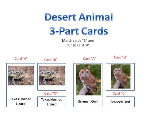3-Part Card Desert Animals in the United States - Amped Up Learning