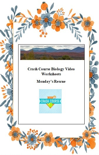 Crash Course Biology Video Worksheet 38: The Plants and the Bees ...