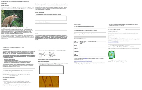 Life Processes/Cells for MS Science Leaning Bundle - Amped Up Learning