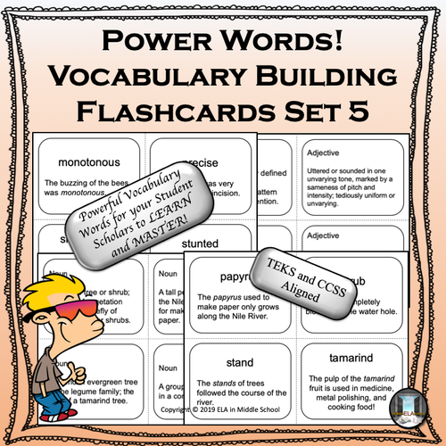 Power Words! Vocabulary Building Flashcards and Word Wall Set 5 - Amped ...