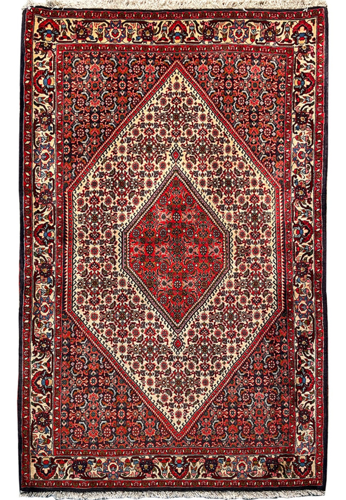 3'7" x 6 Persian Bijar Rug