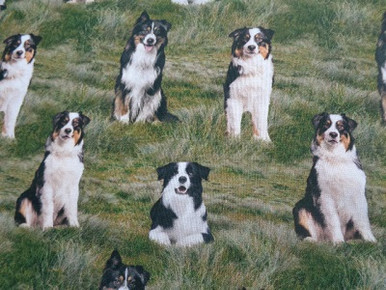 Merino Muster Border Collies 0142L - Sew Many Stitches
