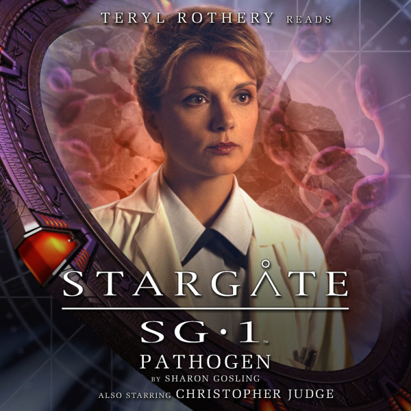 STARGATE SG1 Series 1 & 2 - Big Finish Audio CD Bundle of 6 Stories on ...