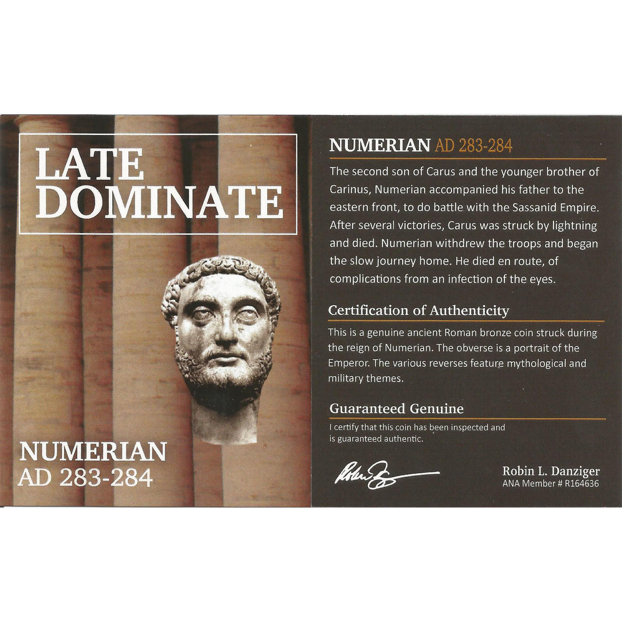 Roman Billon ANT of Numerian (CE283-284) NGC (F)