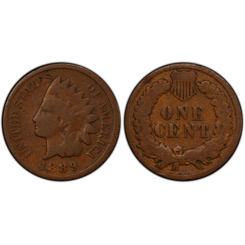 1889 Indian Head Penny - Indian Head Pennies For Sale