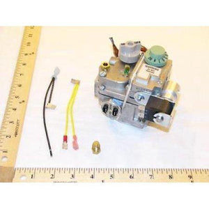 Raypak 006504F | Gas Valves | In Stock | On Sale