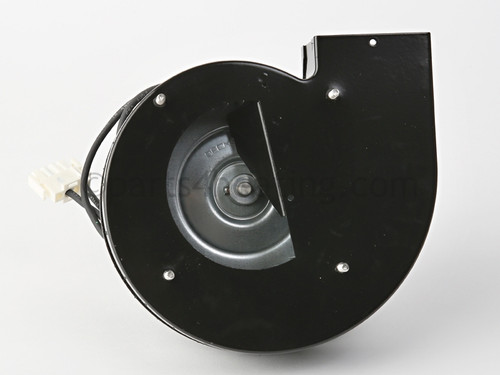 RBI Boiler 12-0013K | Assemblies | In Stock | On Sale