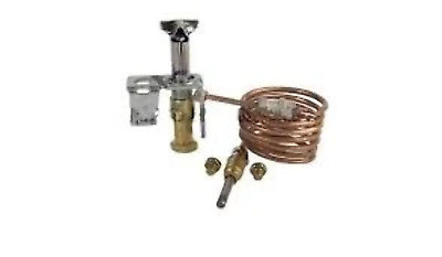 Raypak 003972F | Pilots | In Stock | On Sale