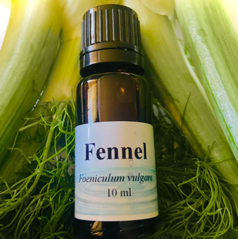 Fennel - Lisa's Herbs and Oils