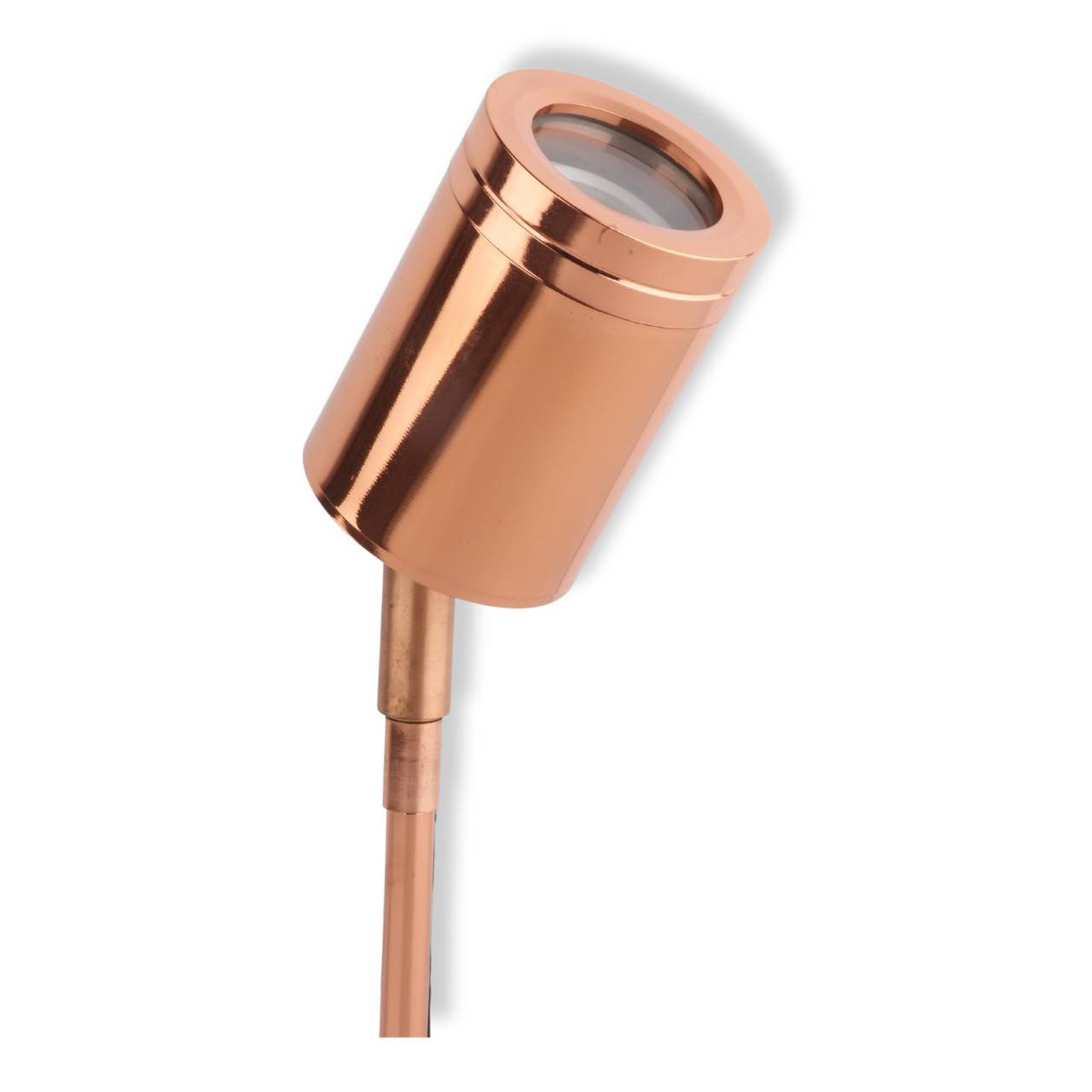 Solar Spot Light, Cool White - YardBright® Landscape Lighting