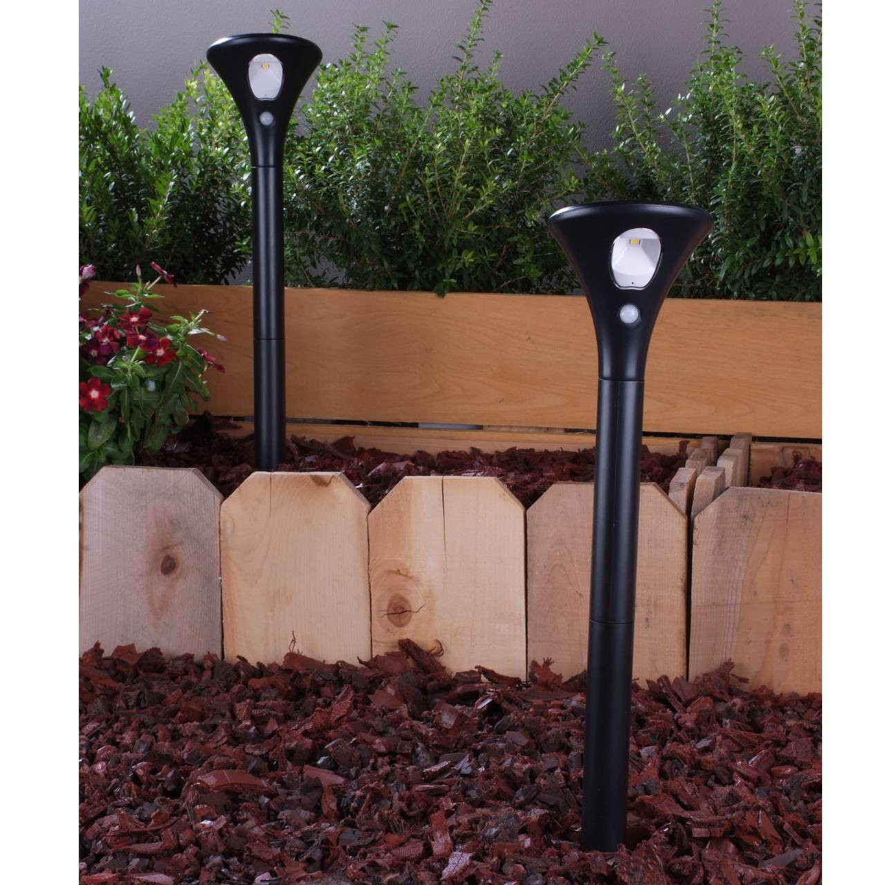 Solar Path Light with Motion Detector, Cool White - YardBright ...