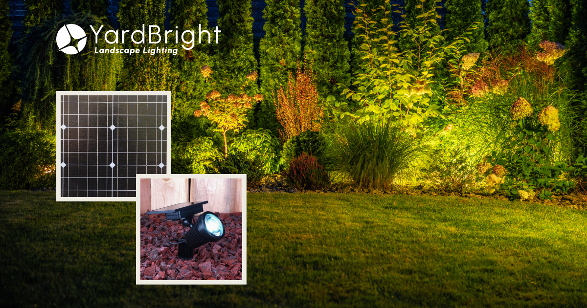Shine a Spotlight: Choosing the Best Exterior Solar Spot Lights ...