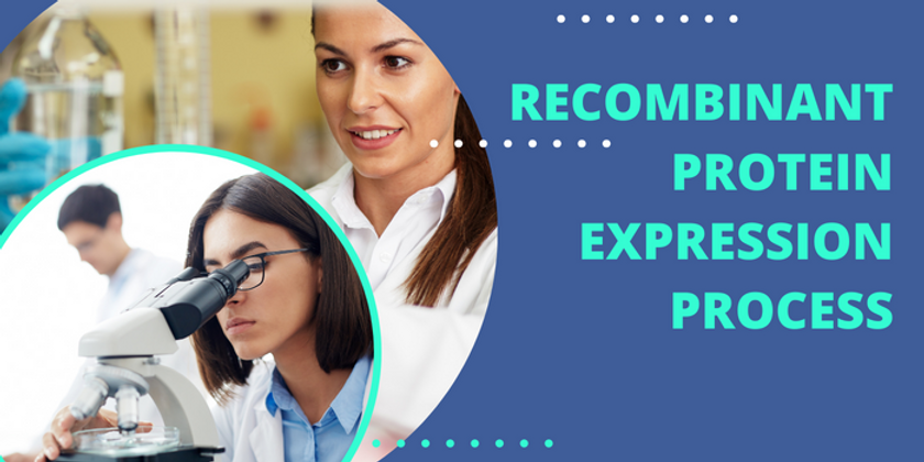 Recombinant Protein Expression Process Biomatik