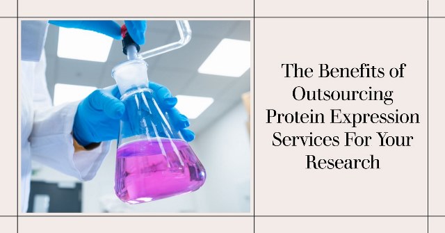The Benefits of Outsourcing Protein Expression Services For Your ...