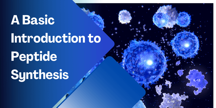 A Basic Introduction To Peptide Synthesis - Biomatik