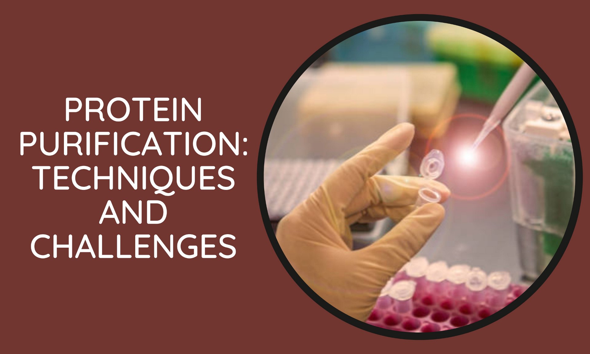 Protein Purification: Techniques and Challenges - Biomatik