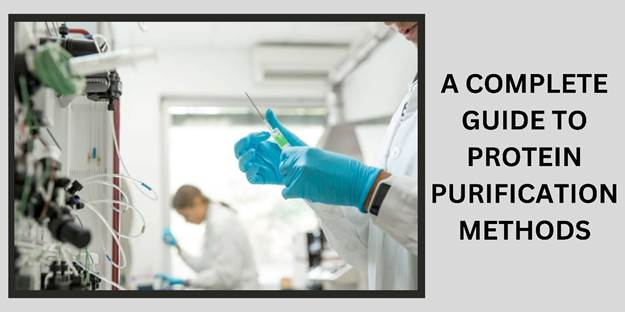 A Complete Guide to Protein Purification Methods - Biomatik