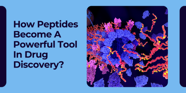 How Peptides Become A Powerful Tool In Drug Discovery? - Biomatik