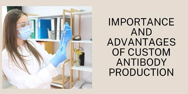Importance and Advantages of Custom Antibody Production - Biomatik